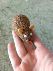 Halloween Dessert - Strawberry and Chocolate Fudge mice