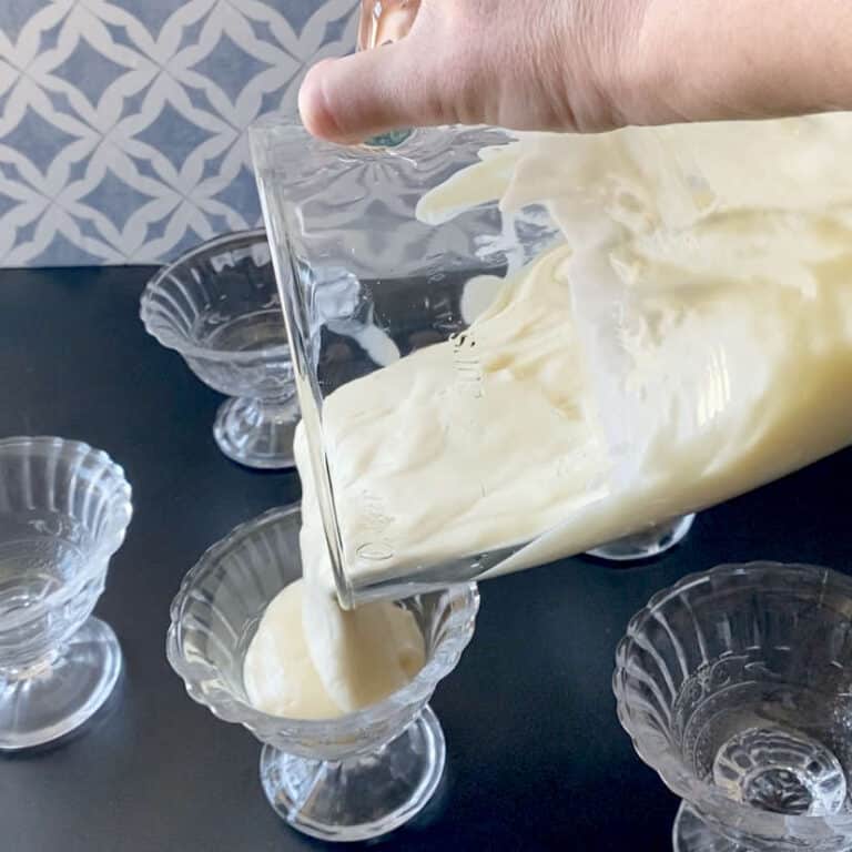 The Best Homemade Lemon Pudding - [no eggs or cornstarch]