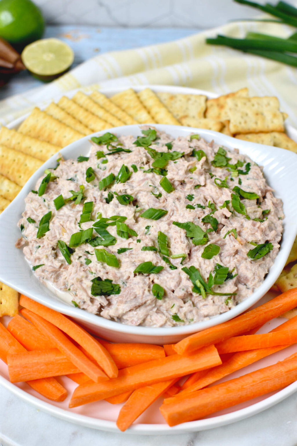Smoked Tuna Dip - Simple Living Recipes